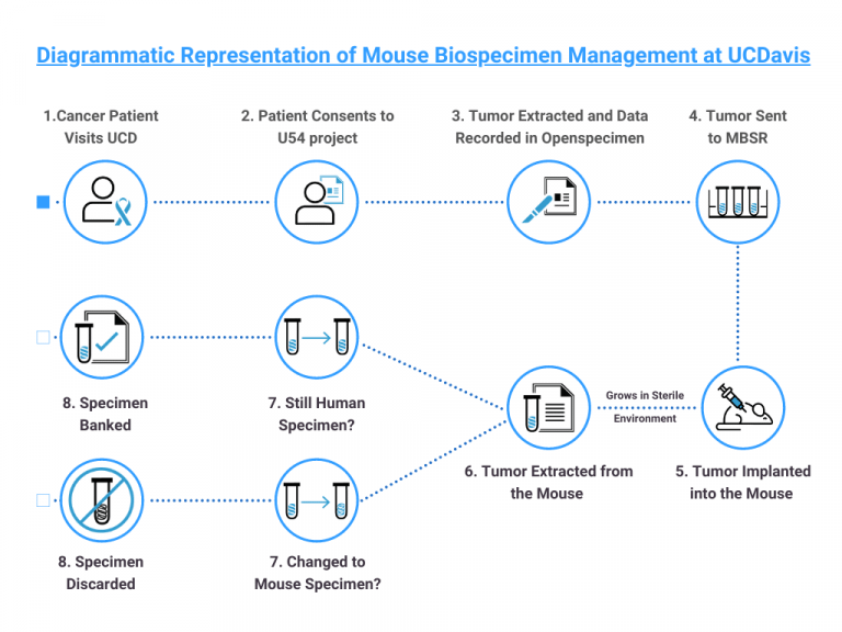 Case Studies - OpenSpecimen